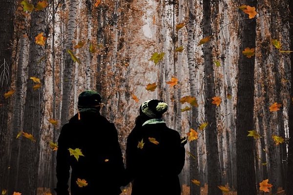 Complicated Love Triangle Novel Review: It Ends With Us - Wehear